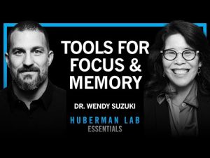 Essentials: Tools to Boost Attention & Memory | Dr. Wendy Suzuki ...